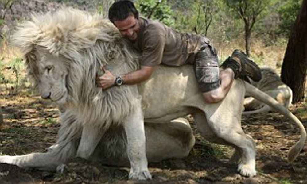 Can You Ride a Lion? • Support Wild