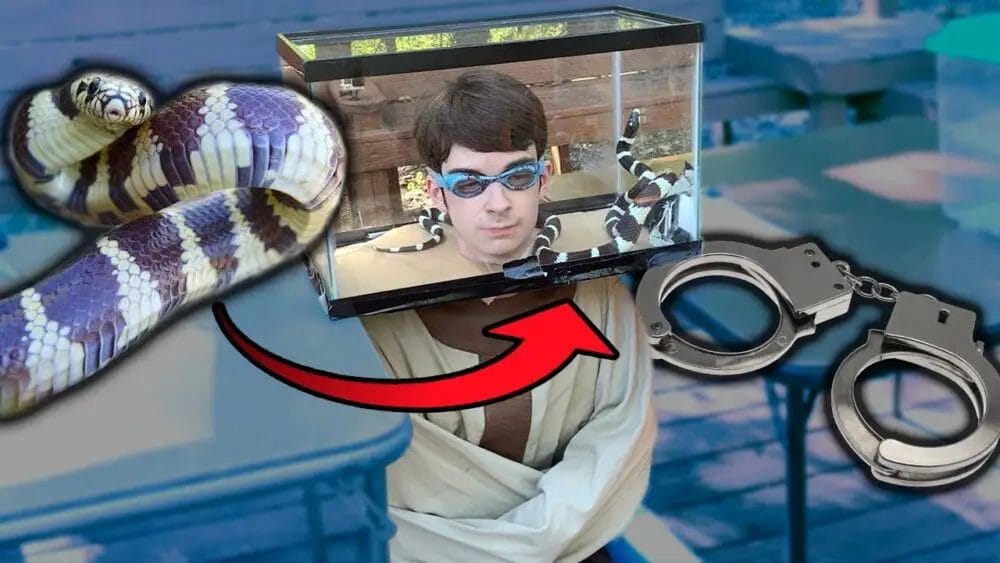 How To Handcuff A Snake? • Support Wild