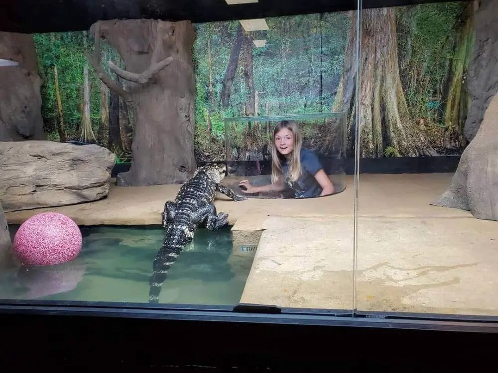 Where Is Snake Discovery Zoo? • Support Wild